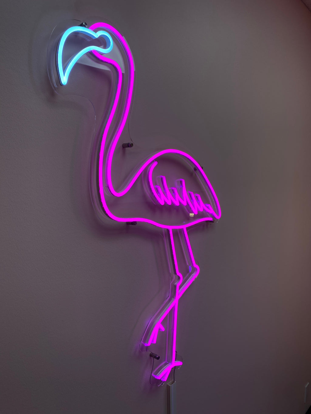 Pink Flamingo – Electric Moon